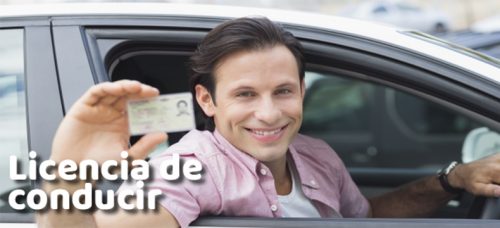 Módulos licencias – Secretaría de Seguridad y Paz del Estado de Guanajuato